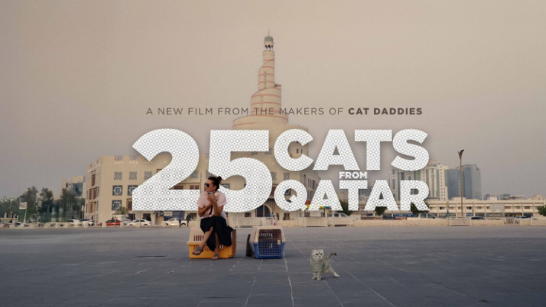 Gorton Center - Lake Forest, IL - 25 CATS FROM QATAR